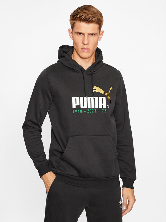 Puma Mikina No. 1 Logo Celebration 676021 Černá Regular Fit | Modivo.cz