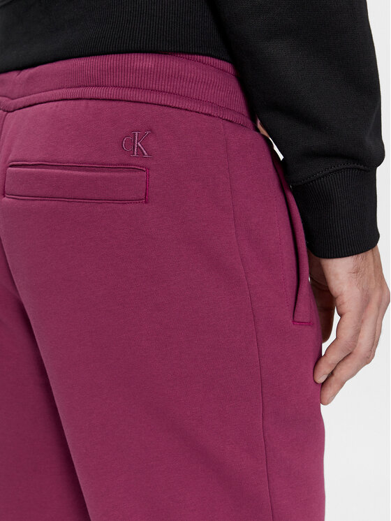 Calvin Klein Jeans Jogginghose J30j324053 Violett Regular Fit Modivo At