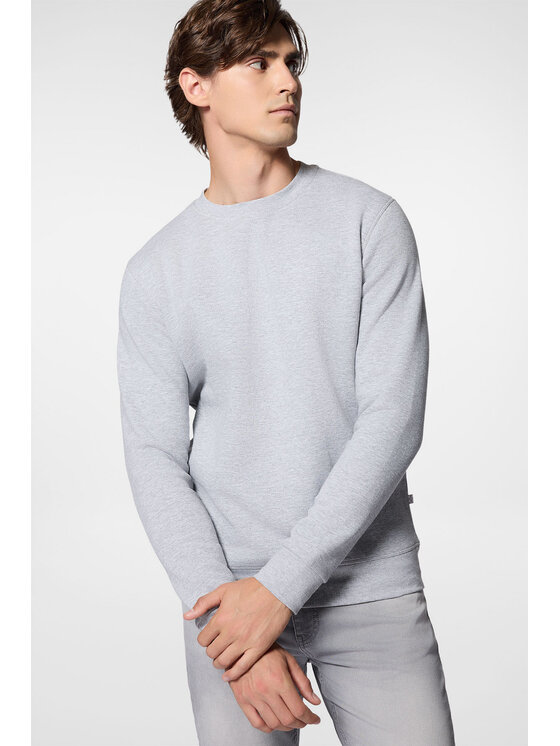 Próchnik Bluza PM13 BL073224000001 Szary Regular Fit | Modivo.pl