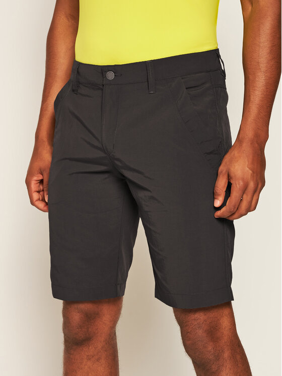 Jack Wolfskin Sportshorts Desert Valley 1504741 Grau Regular Fit ...
