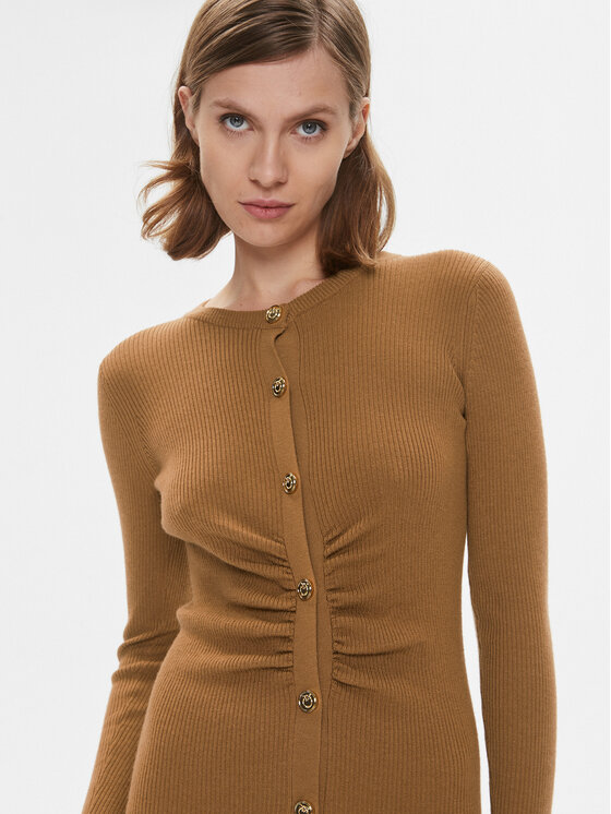 Pinko Úpletové šaty Ermellino 101926 A15S Hnědá Slim Fit | Modivo.cz